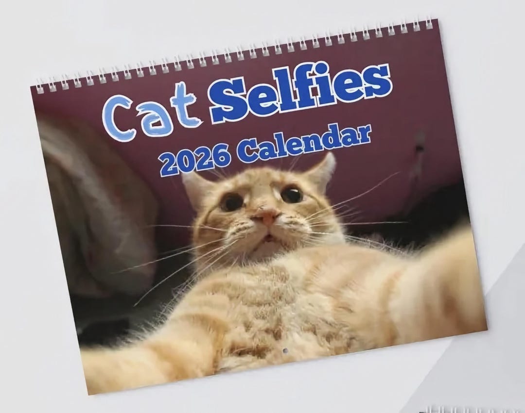 Cat Selfies Wall Calendar 2026, Christmas Gift Cat Mom Gag Gift Funny ...