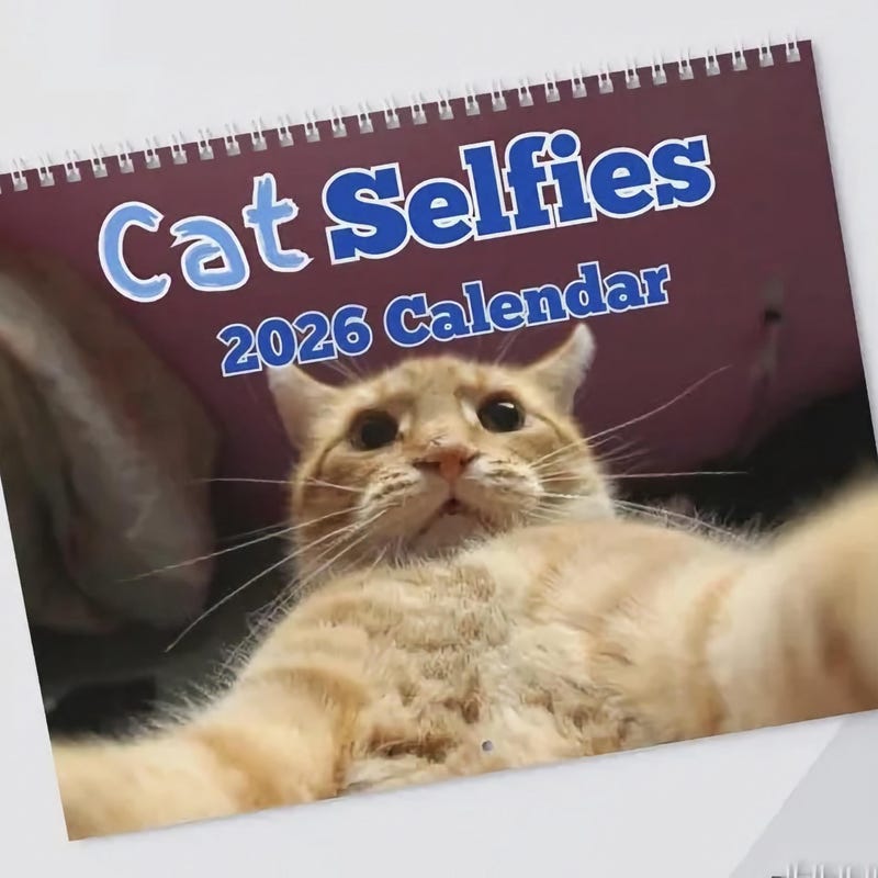 Funny Cat Christmas Gifts - 60+ Gift Ideas for 2025