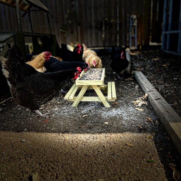 Chicknic Table - Etsy