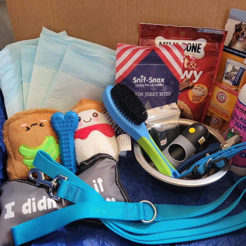 New Puppy Gift - 60+ Gift Ideas for 2024