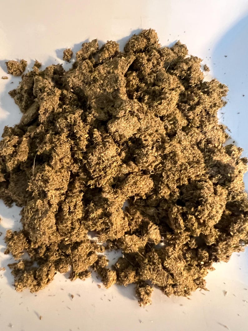 Hoppy Droppies — Rabbit Poop Forage for Hermit Crabs (limited) - Etsy