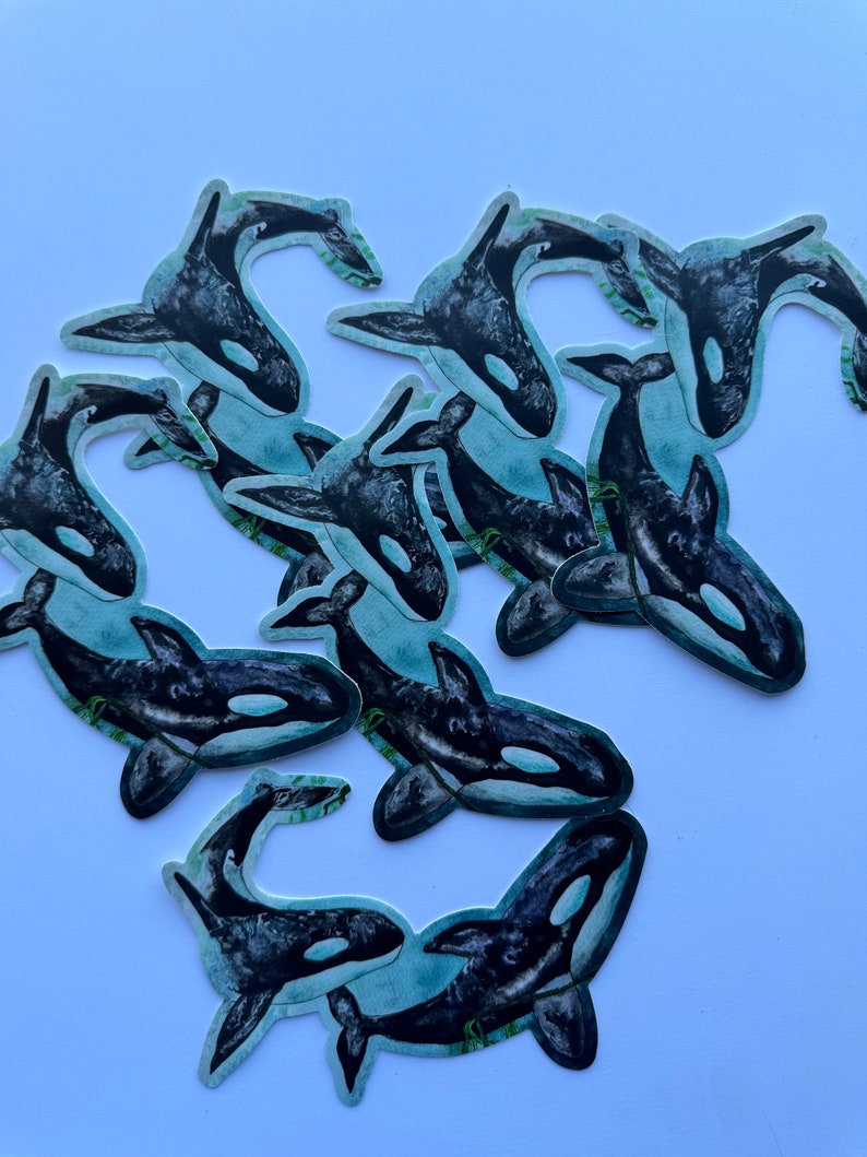 Orcas : Sticker - Etsy