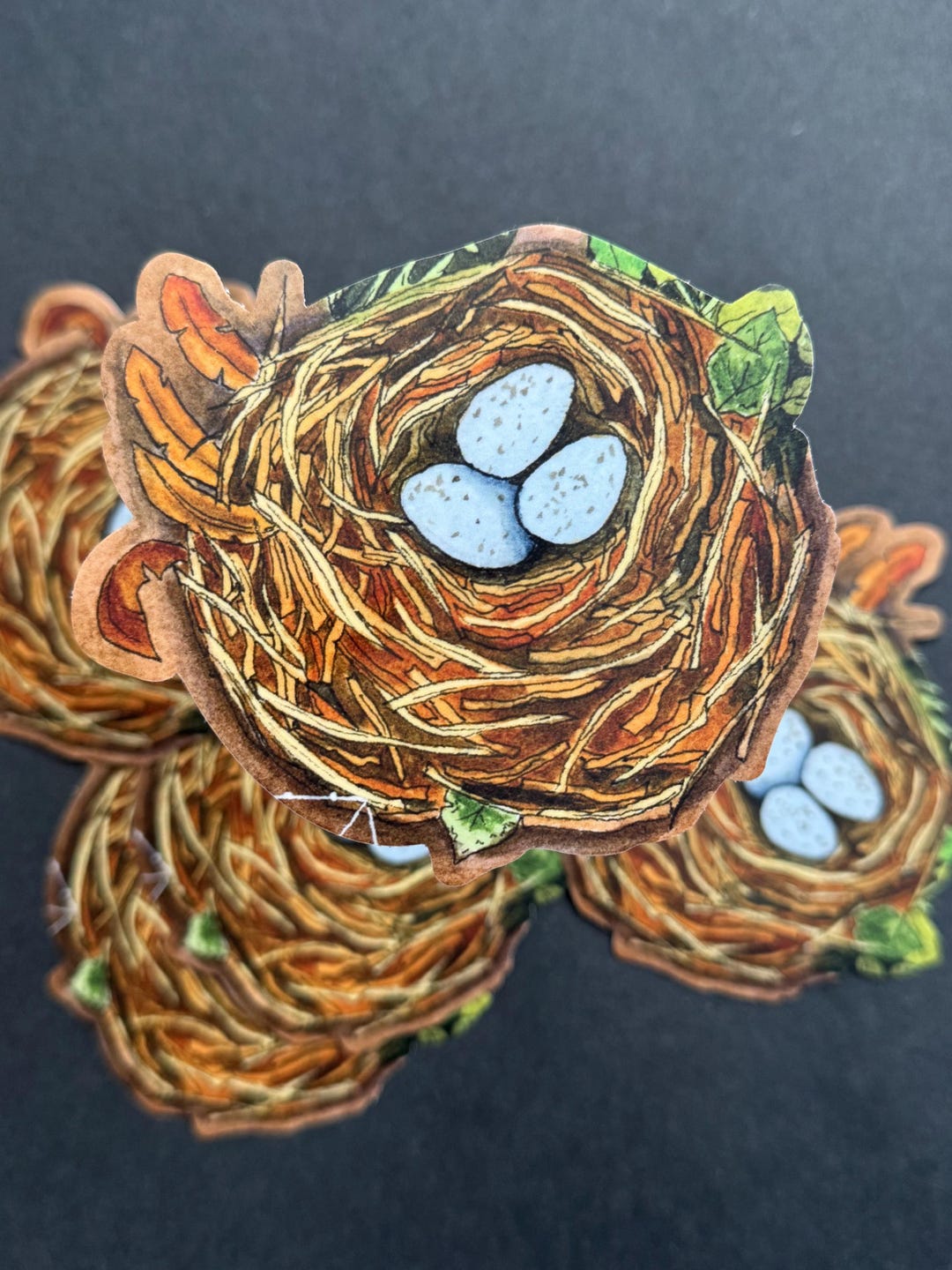 Bird Nest: Vinyl Sticker Waterproof for Laptop Waterbottles or Kindle - Etsy