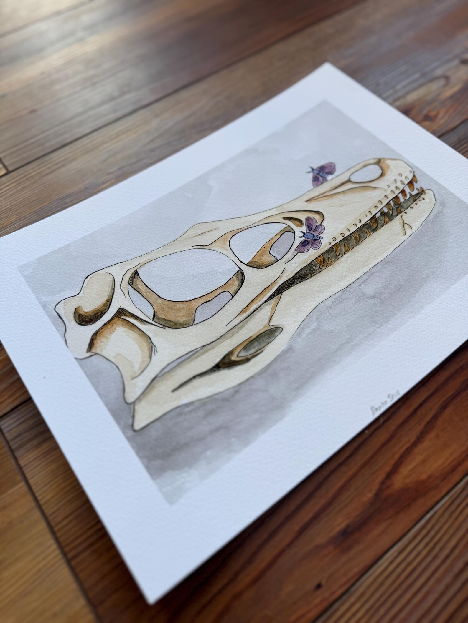 Raptor Skull Fossil With Moths Fine Art Print - Etsy