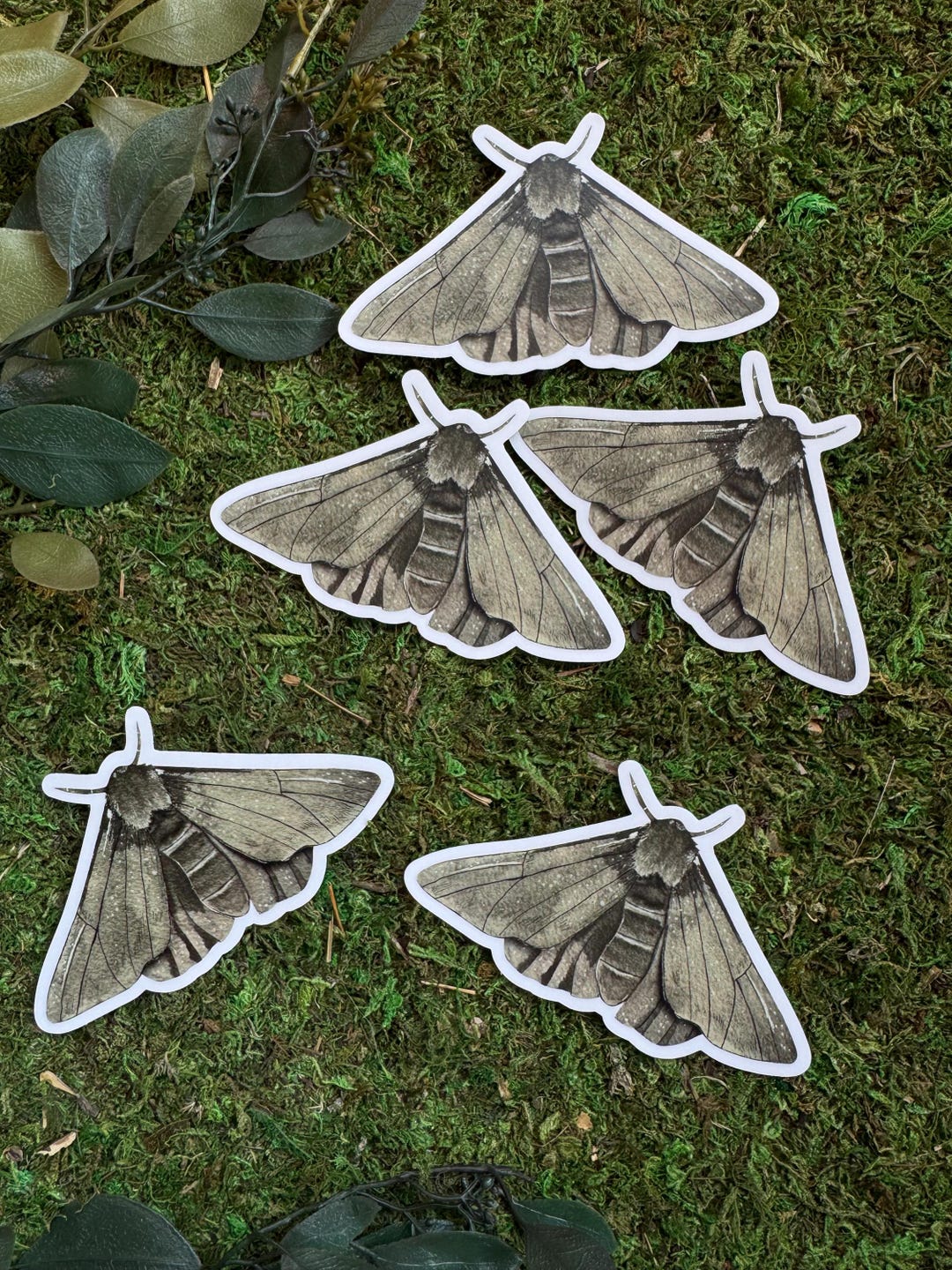 Moth Peppered Moth Sticker for Water Bottle Laptop Kindle Mugs - Etsy