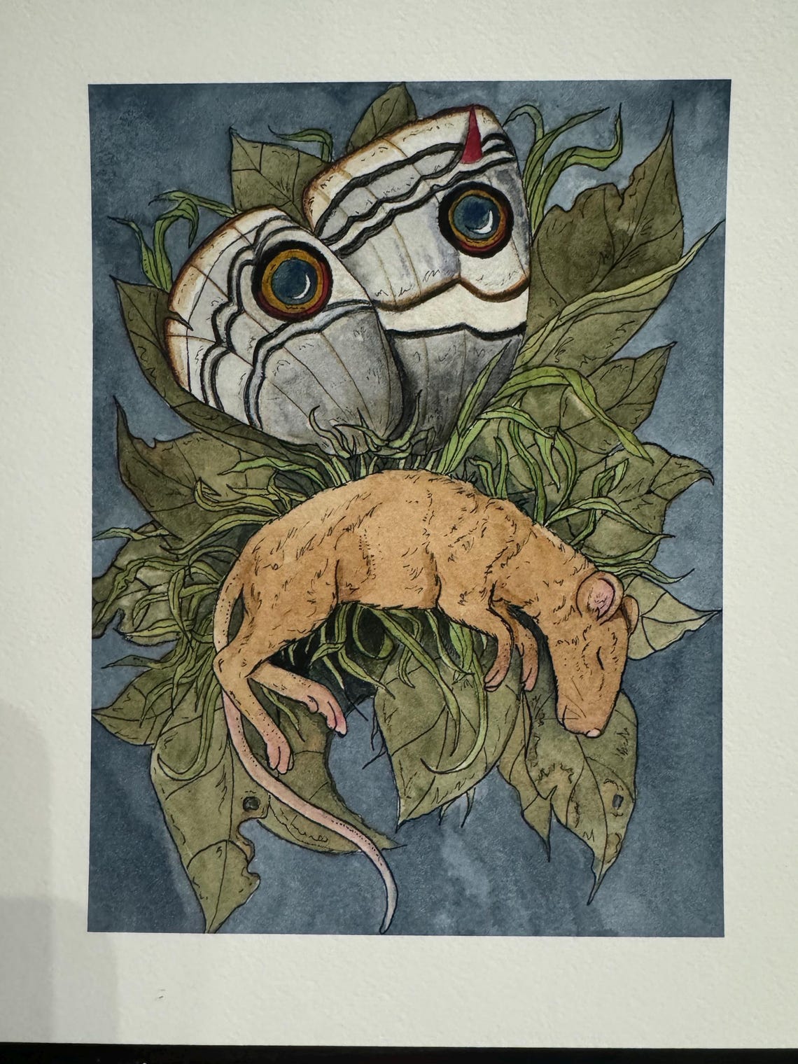Wings- Mouse and Moth Wing Giclee Print - Etsy