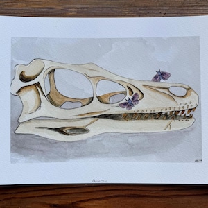 Raptor Skull Fossil With Moths Fine Art Print - Etsy