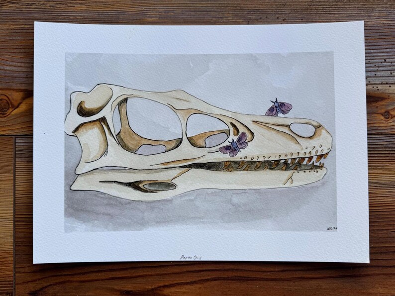 Raptor Skull Fossil With Moths Fine Art Print - Etsy