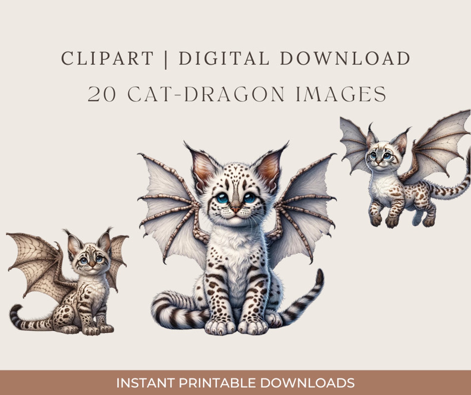 Fantasy Dragon-cat Clipart Bundle: 20 Unique Digital Images of Mystical ...