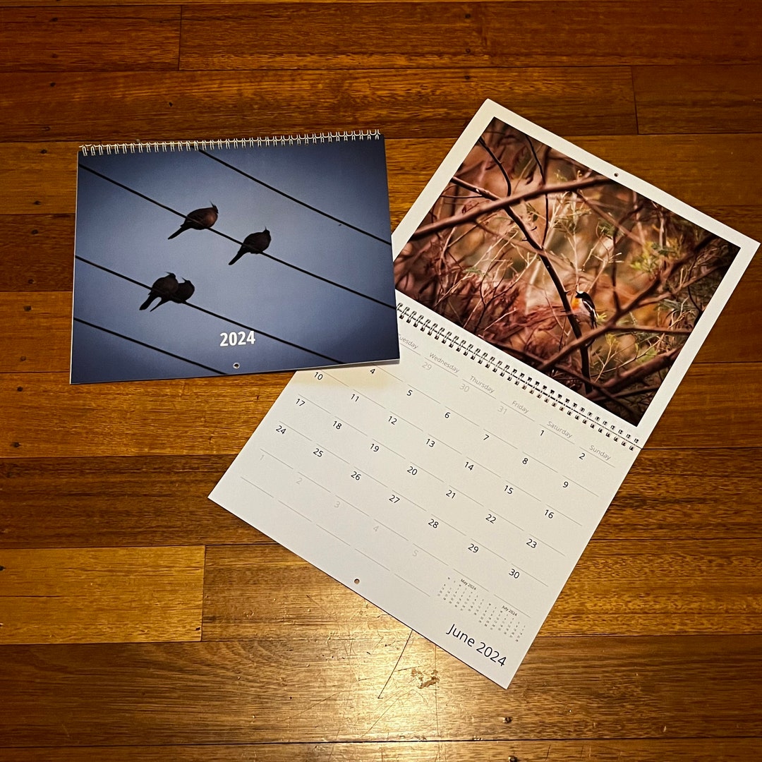 2024 Australian Wildlife Calendar - Etsy