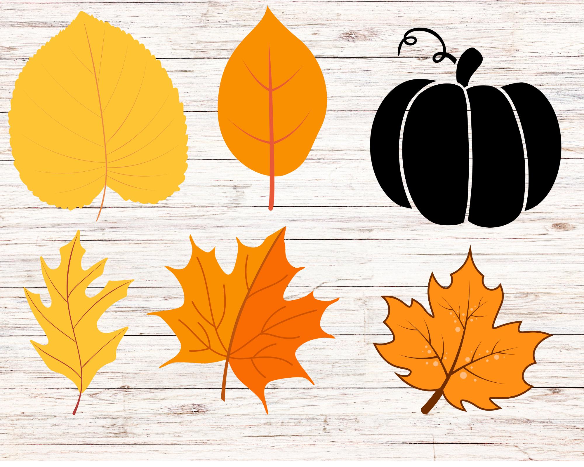 20 Fall Leaves Svg Bundle, Fall Svg, Fall Leaf Svg, Fall Png, Fall ...