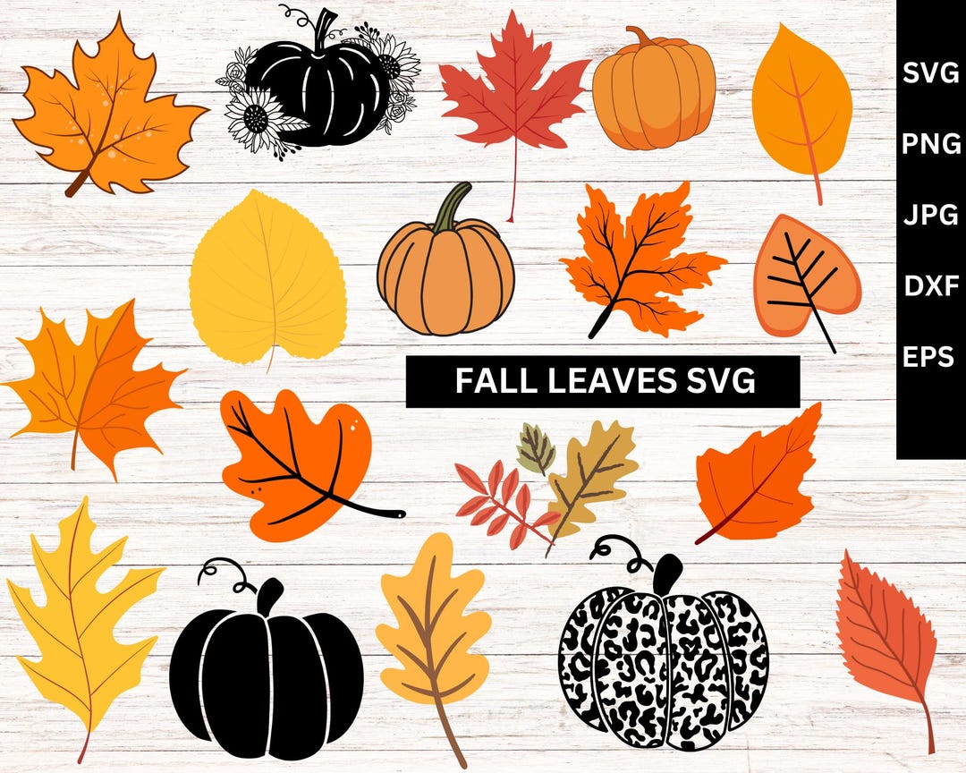 20+ Fall Leaves Svg Bundle, Fall Svg, Fall Leaf Svg, Fall Png, Fall ...