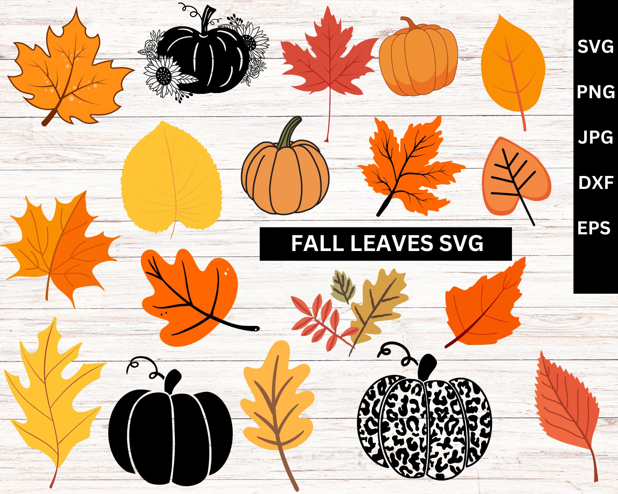 20 Fall Leaves Svg Bundle, Fall Svg, Fall Leaf Svg, Fall Png, Fall ...