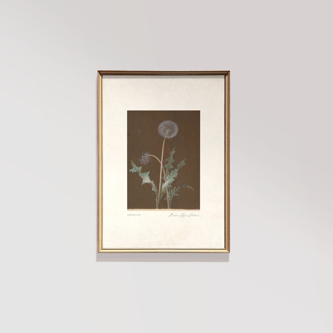 Dandelion Vintage Print | Antique Floral Art | Watercolor Printed Art ...