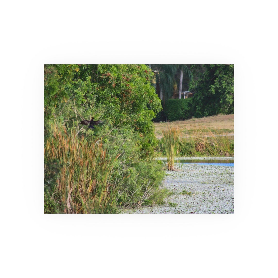 Drying off Satin/matte Poster - Etsy