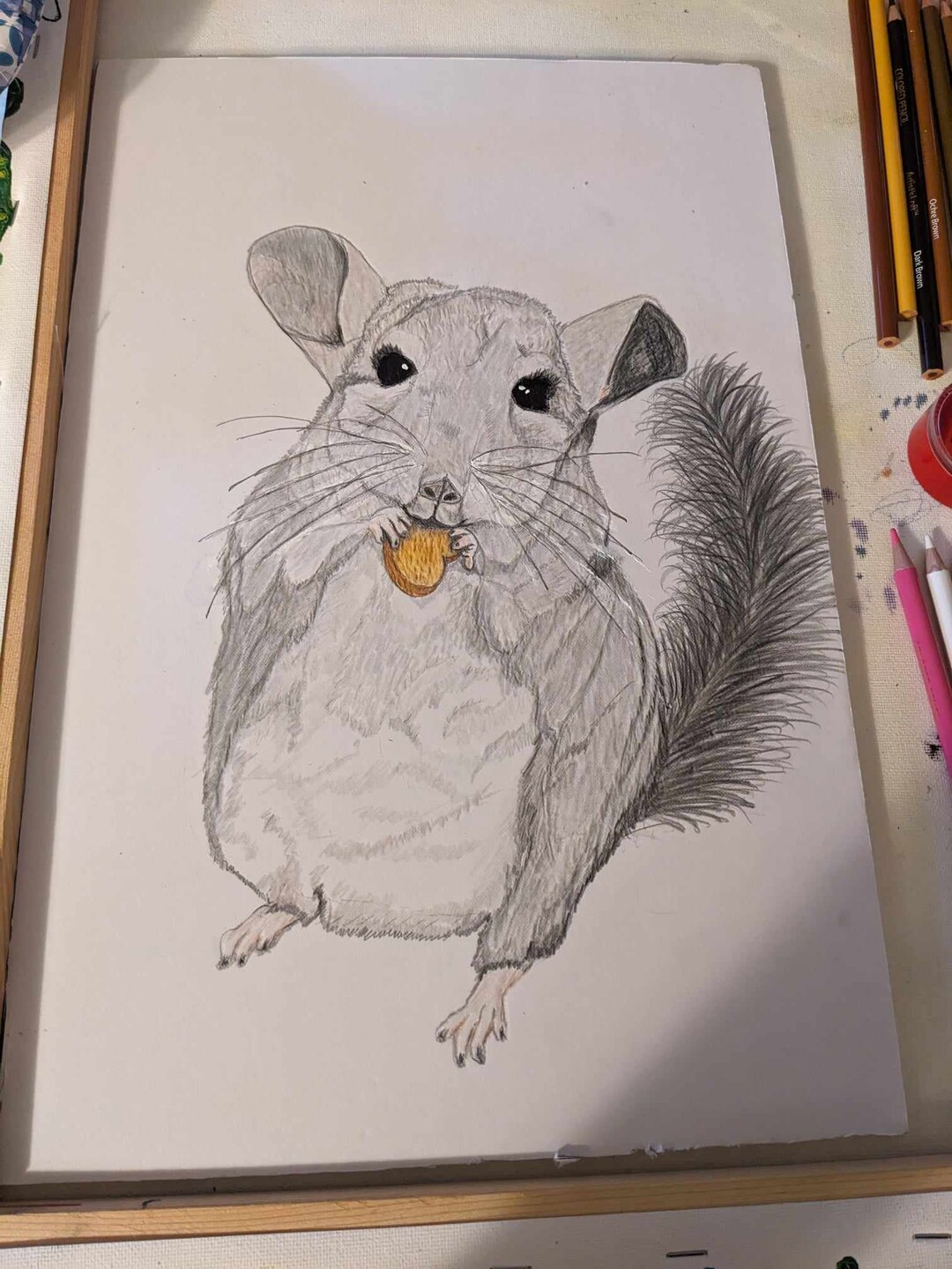 Chinchilla Art Print - Etsy