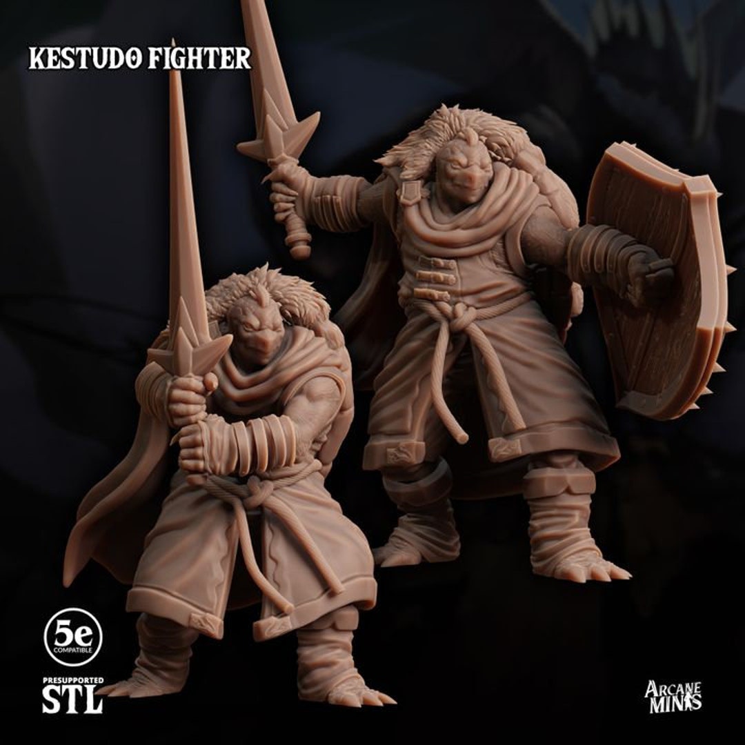 2pc Kestudo Fighters/dnd Dungeons and Dragons TTRPG Fantasy Turtle Folk ...