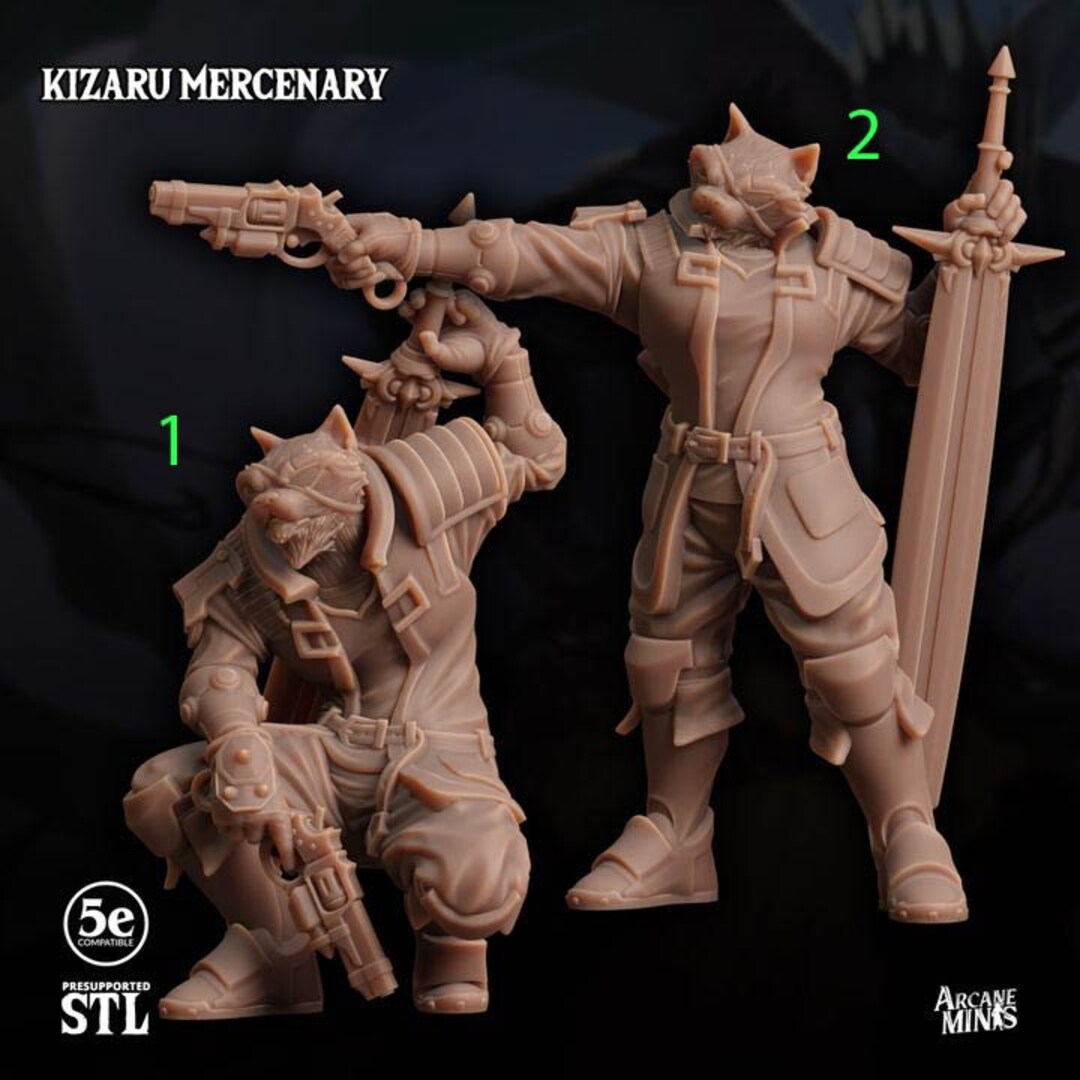 2pc Barbarian Cats/ DND Dungeons and Dragons RPG Fantasy Animals ...