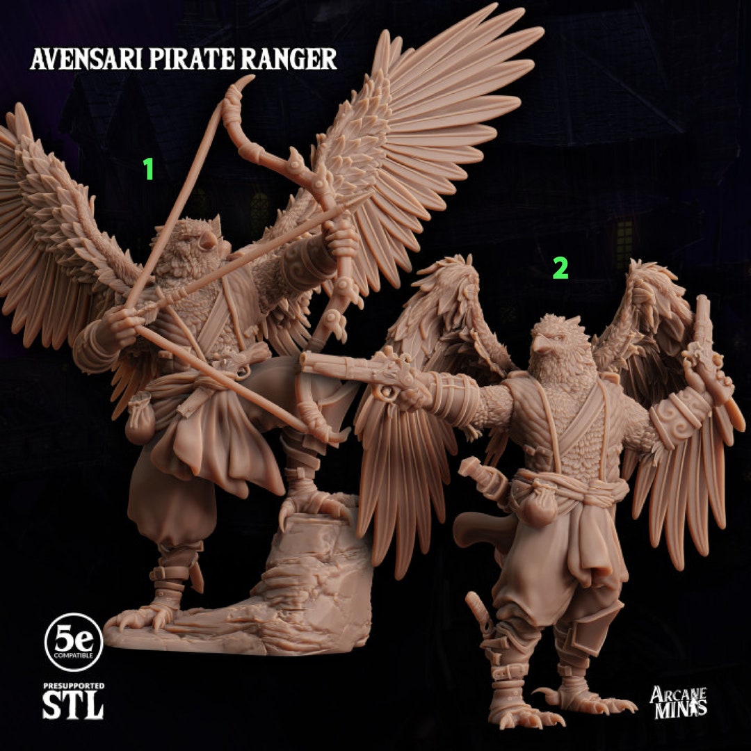 2pc Rangers Pirates Set Dungeons and Dragons RPG Fantasy DND 5e Eagles ...