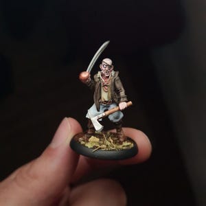 11pc Pirates Set | DND Dungeons and Dragons TTRPG | Pirate Swordsmen ...