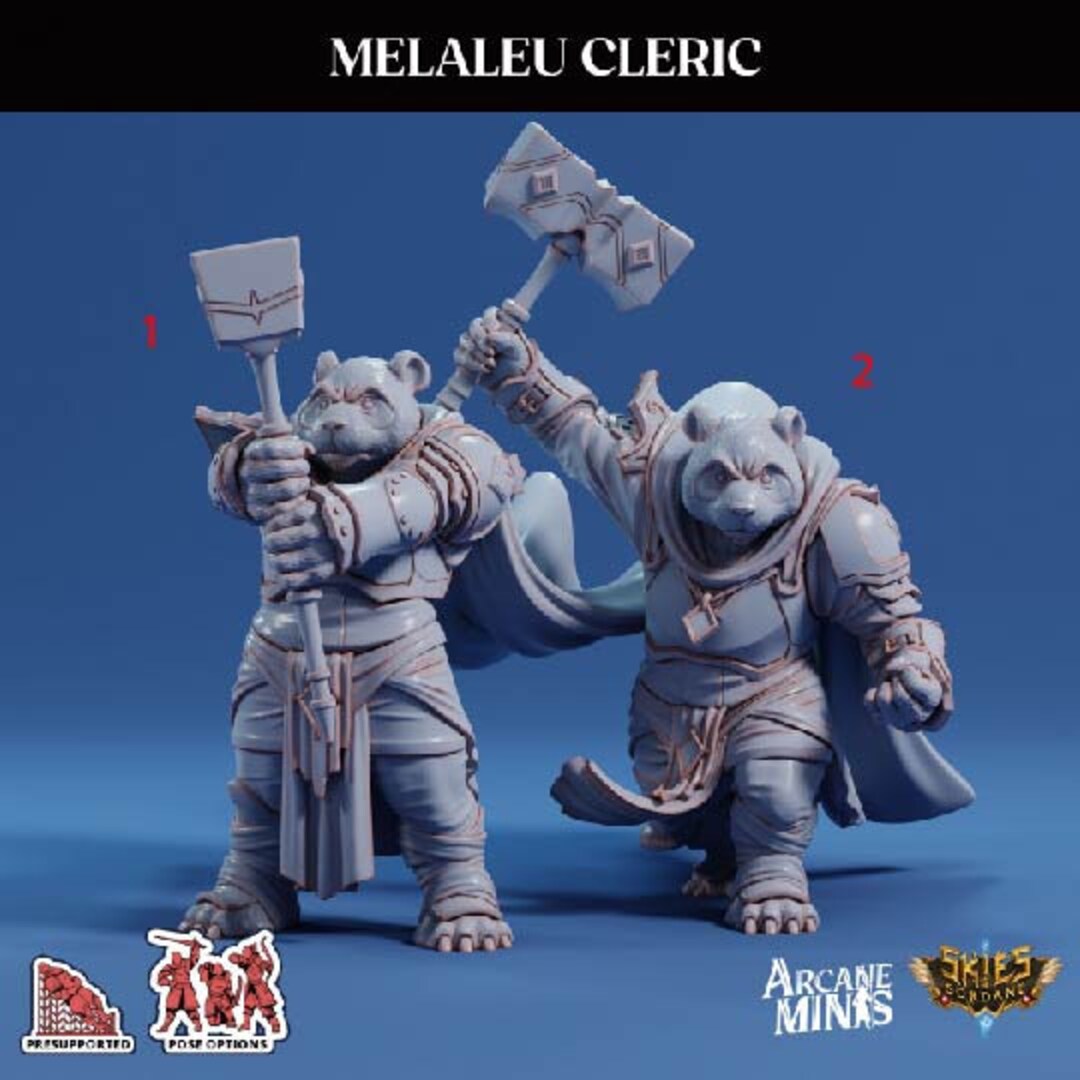 Melaleu Cleric Dnd Dungeons and Dragons 28mm/32mm Panda Miniatures NPC ...