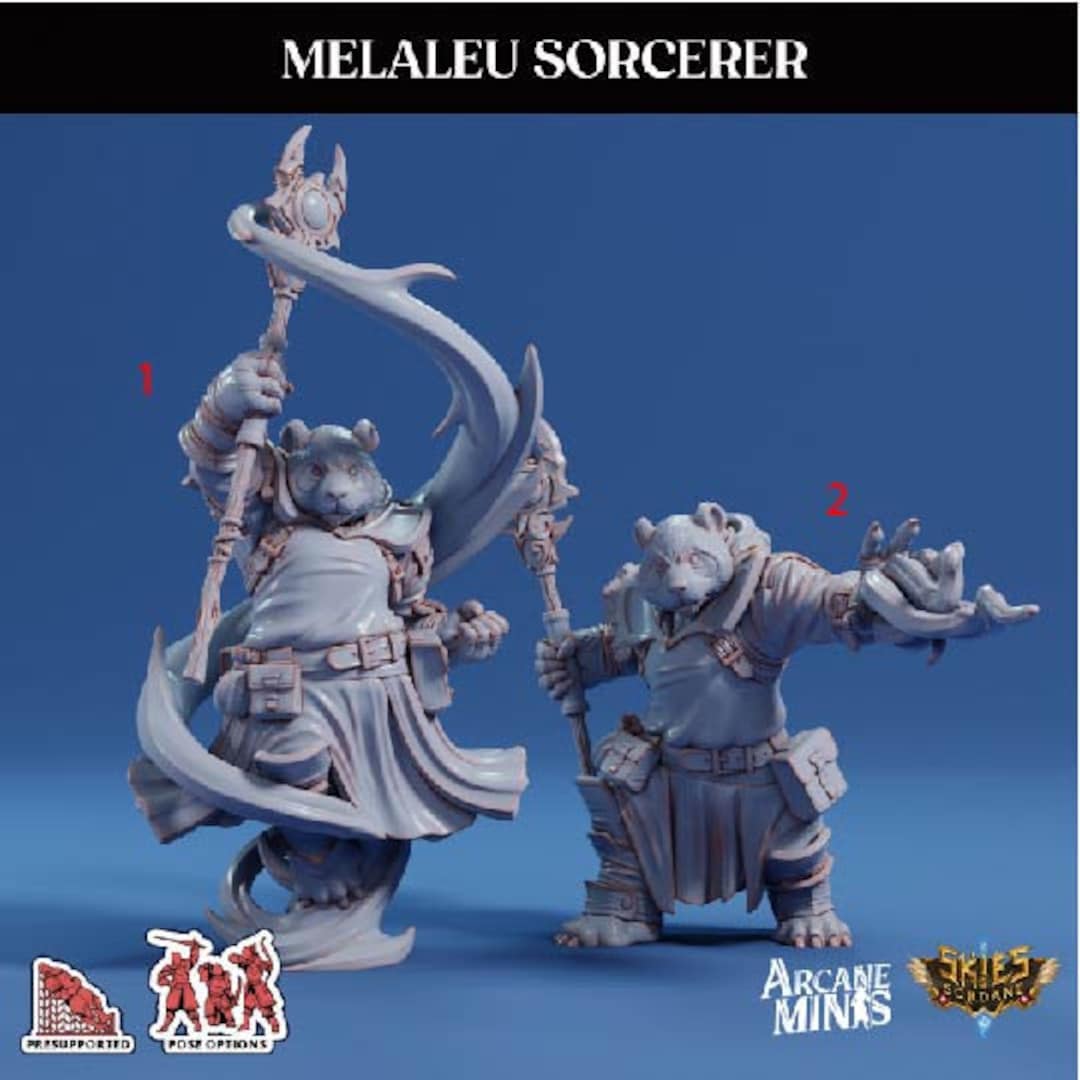 Melaleu Sorcerer Dnd Dungeons and Dragons 28mm/32mm Arcane Panda TTRPG ...