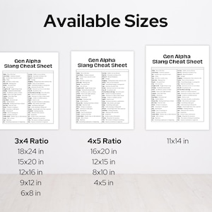 Gen Alpha Slang Cheat Sheet Poster: Teacher Parent Guide | Middle ...