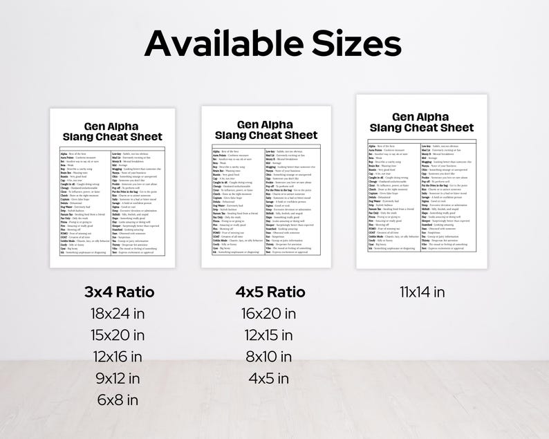 Gen Alpha Slang Cheat Sheet Poster: Teacher Parent Guide | Middle ...