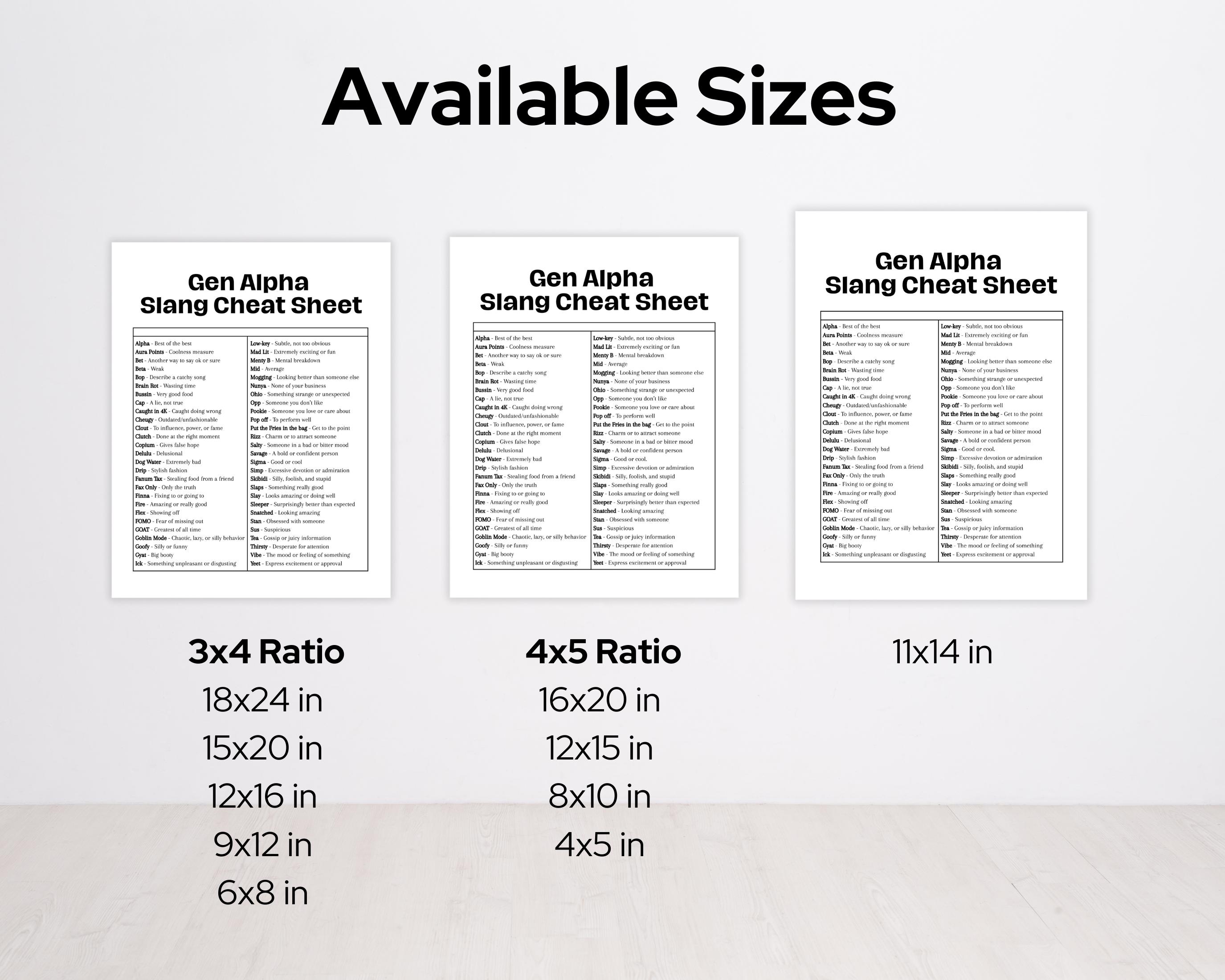 Gen Alpha Slang Cheat Sheet Poster: Teacher Parent Guide | Middle ...