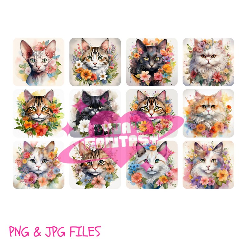 Cat Clipart Digital Illustrations, 12 High Quality JPG/PNG, Digital ...