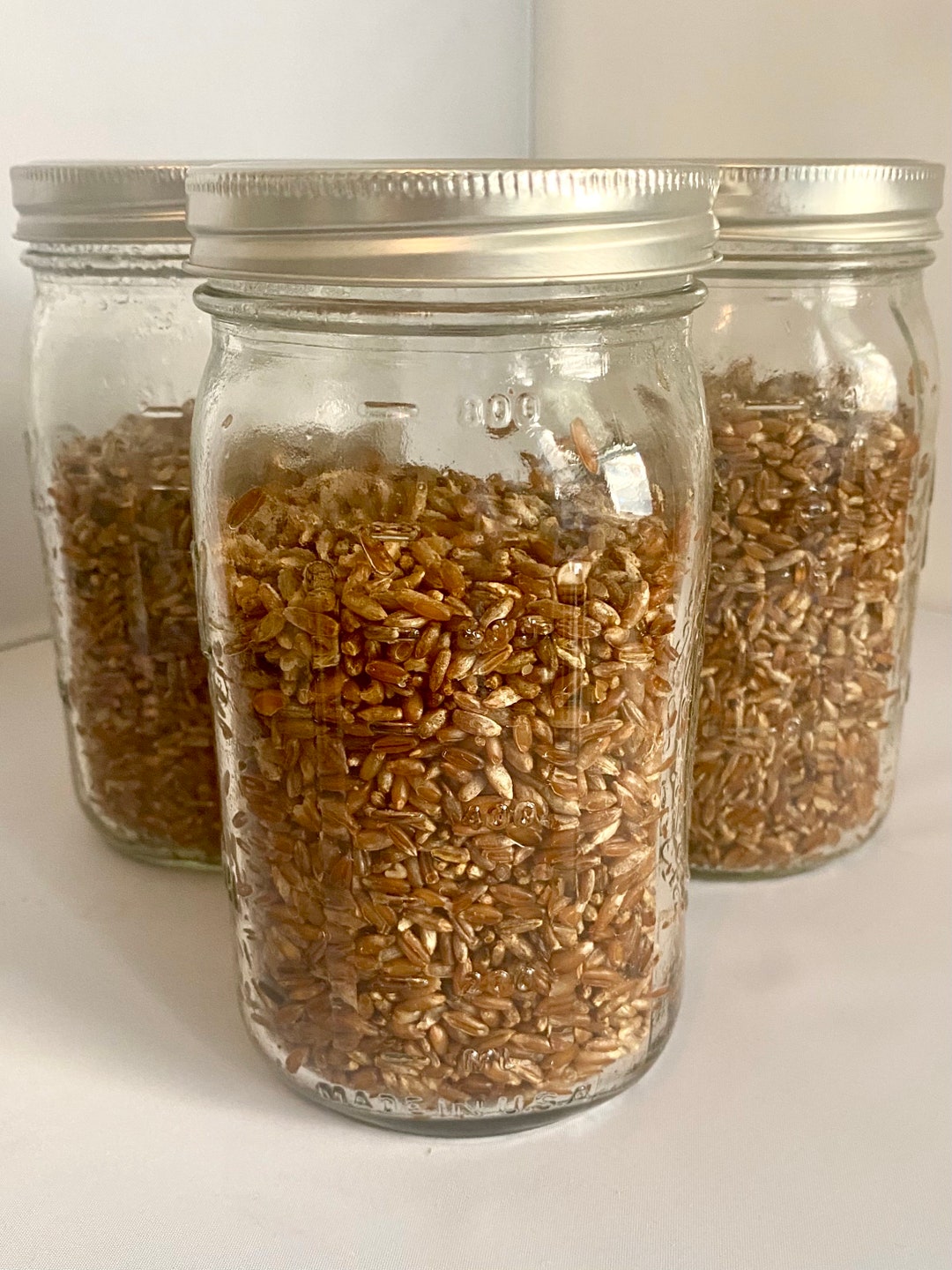 3LB Sterilized Grain Jars Quart Sized With Organic Rye Berry Grain ...