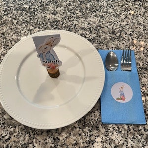 Beatrix Potter Peter Rabbit Flopsy Friends Custom Name or Blank Place ...