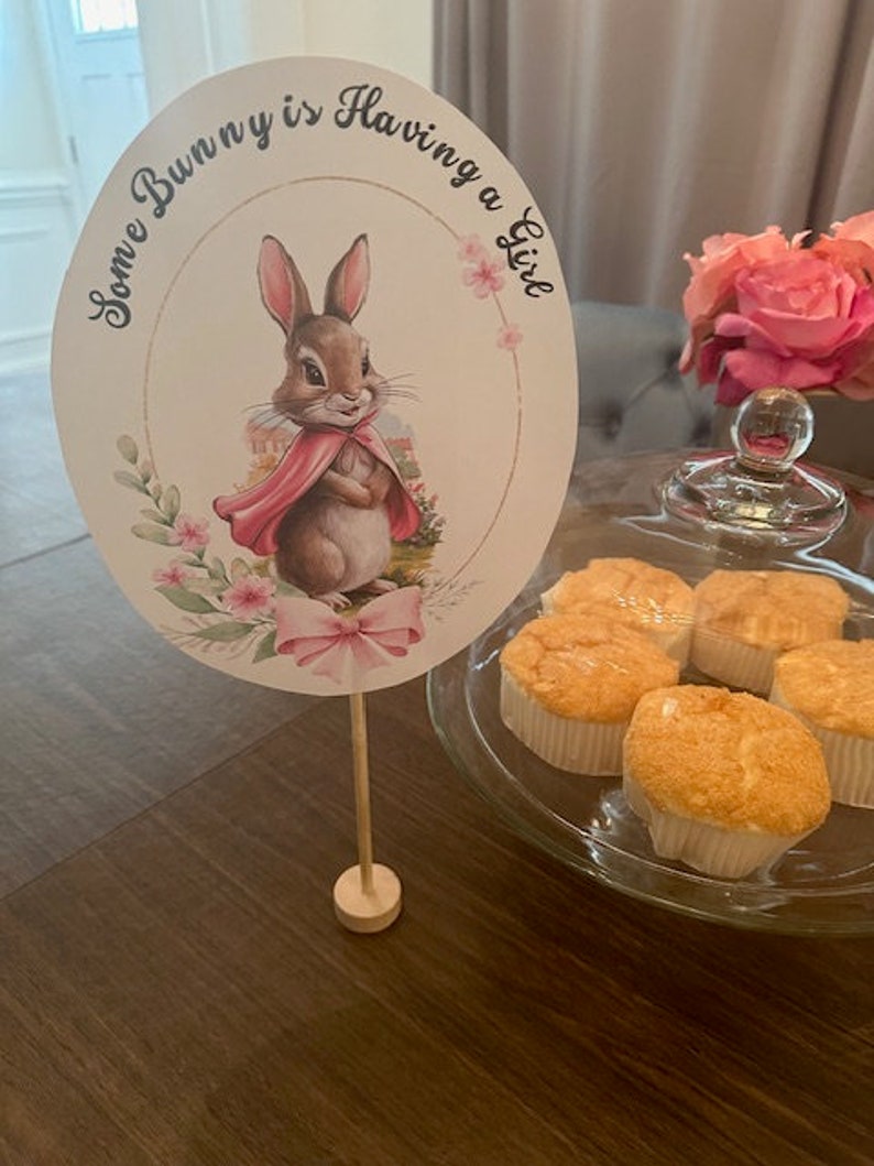 Pink Peter Rabbit Flopsy Bunny in Pink Cape Pink Bow Cake Topper or ...