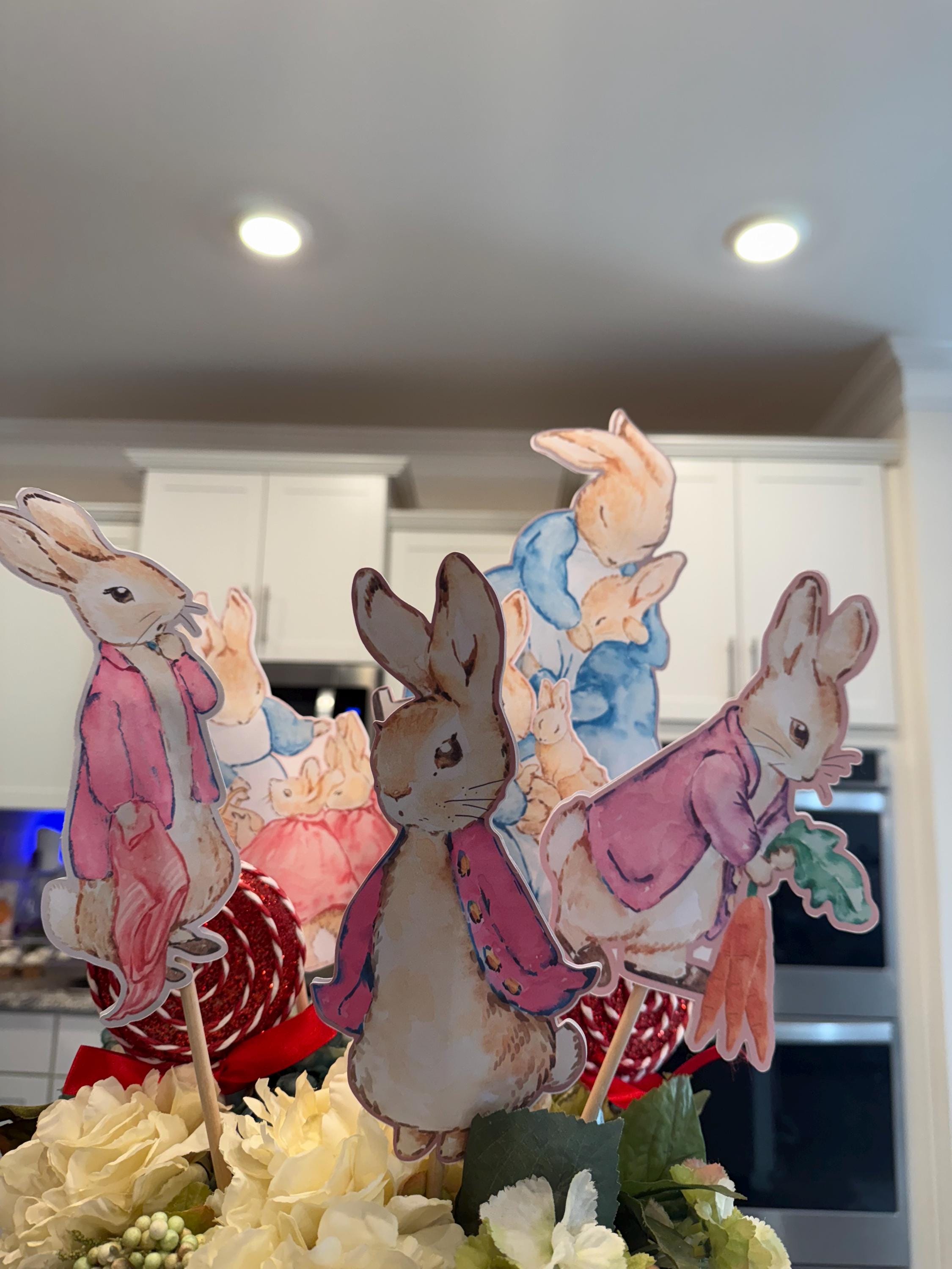 Beatrix Potter Peter Rabbit Flopsy and Friends Choice of Custom Name ...