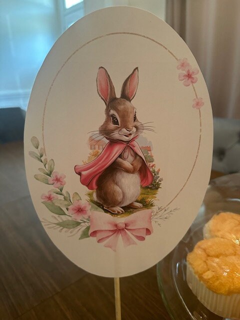 Pink Peter Rabbit Flopsy Bunny in Pink Cape Pink Bow Cake Topper or ...