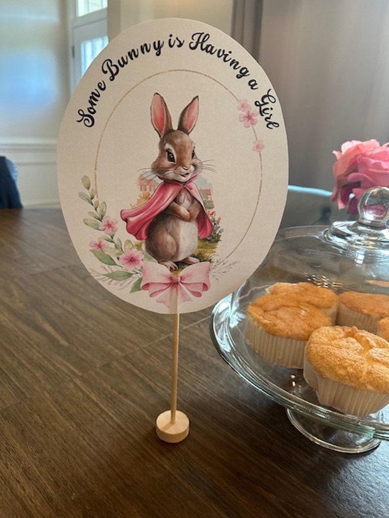 Pink Peter Rabbit Flopsy Bunny in Pink Cape Pink Bow Cake Topper or ...