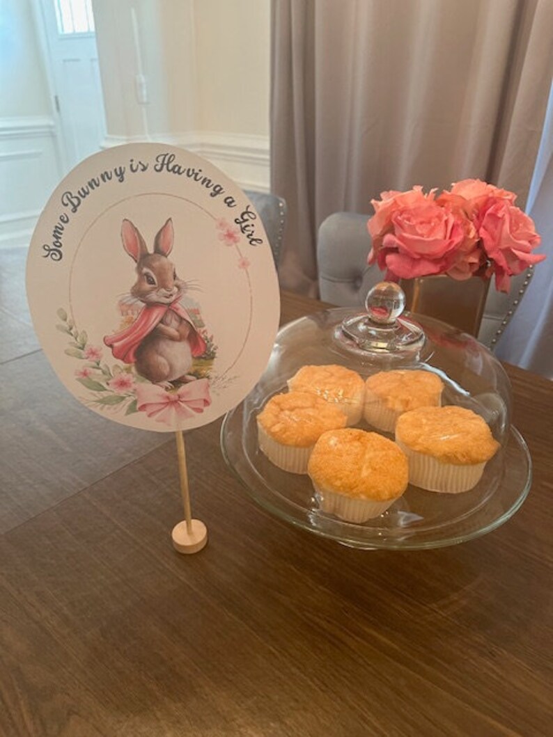 Pink Peter Rabbit Flopsy Bunny in Pink Cape Pink Bow Cake Topper or ...