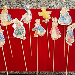 Beatrix Potter Peter Rabbit and Friends Custom or Blank Vintage Baby ...