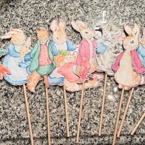 Beatrix Potter Peter Rabbit Flopsy and Friends Choice of Custom Name ...
