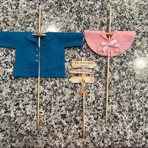 Peter Rabbit’s Jacket Flopsy Cake Topper Mcgregor's Garden Baby Shower ...