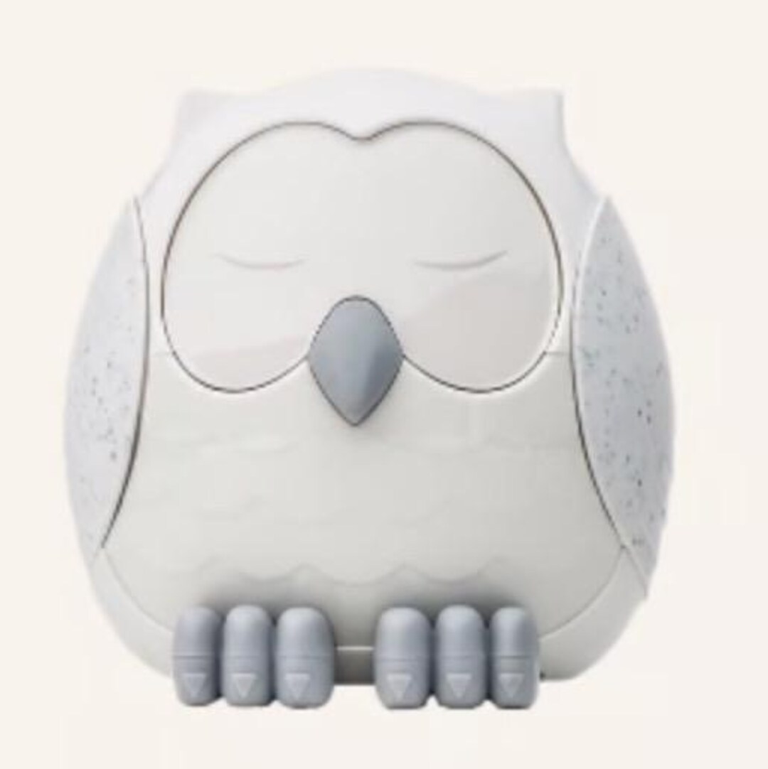 Snowy the Owl Diffuser - Etsy