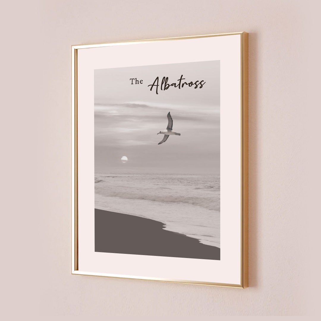 The Albatross Taylor Poster Lyrics Print Subtle Wall Art Y2k Decor ...