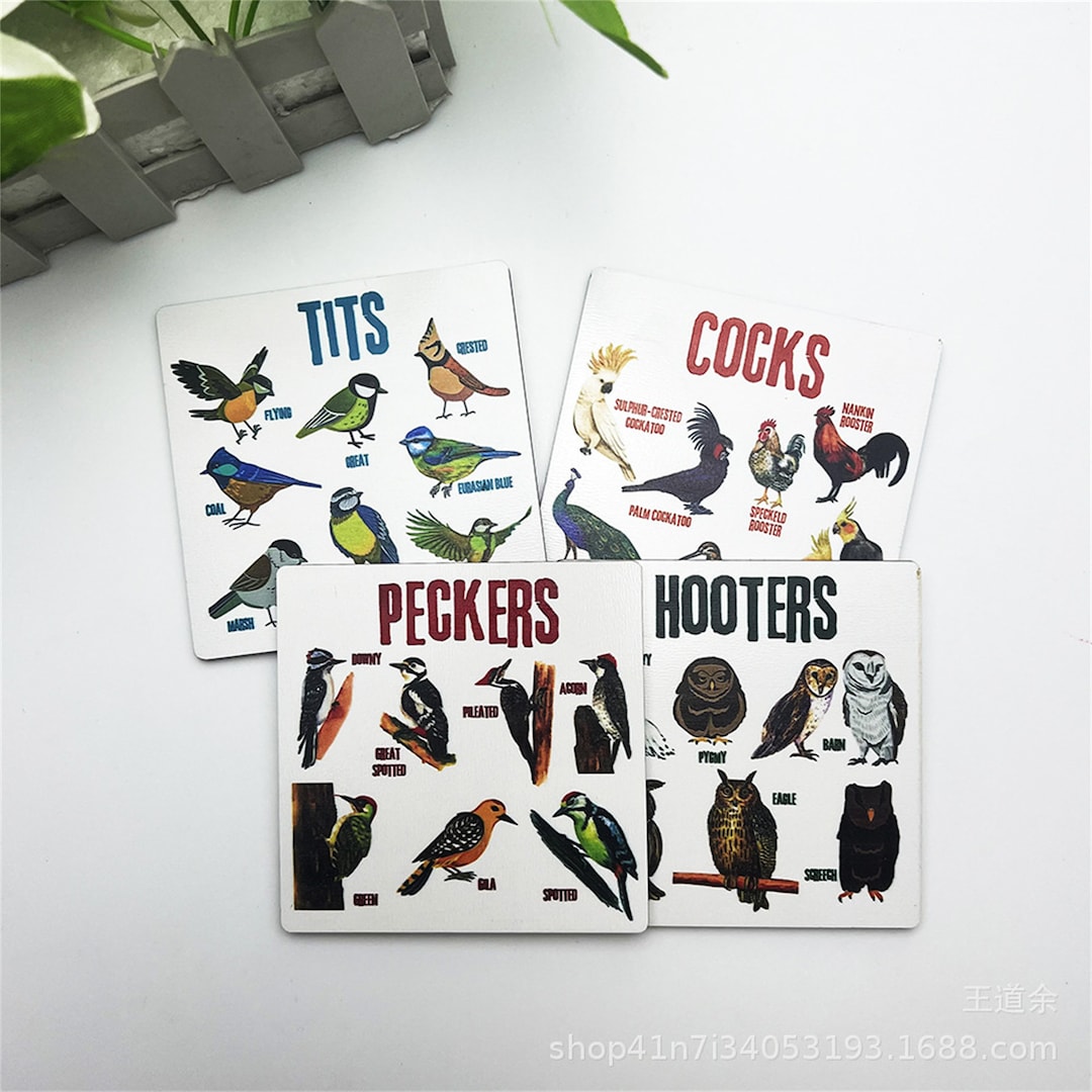 Set of 4 Bird Pun Coasters New Set of 4 Handmade Acrylic Bird - Etsy UK
