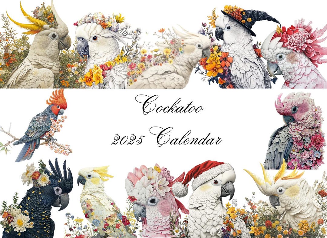 Calendrier cacatoès 2025, Cacatoès, Amoureux des cacatoès, Cadeau idéal ...