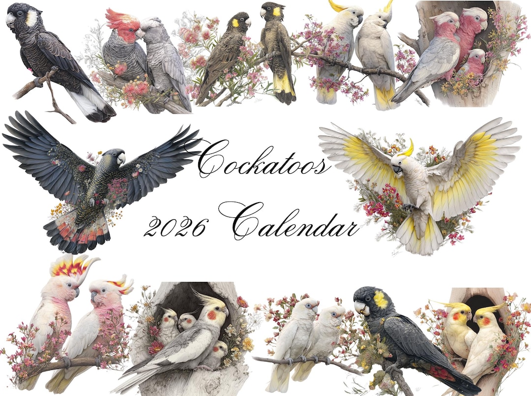 Cockatoo Wall Calendar 2026 | Australian Bird Calendar | Cockatoo ...