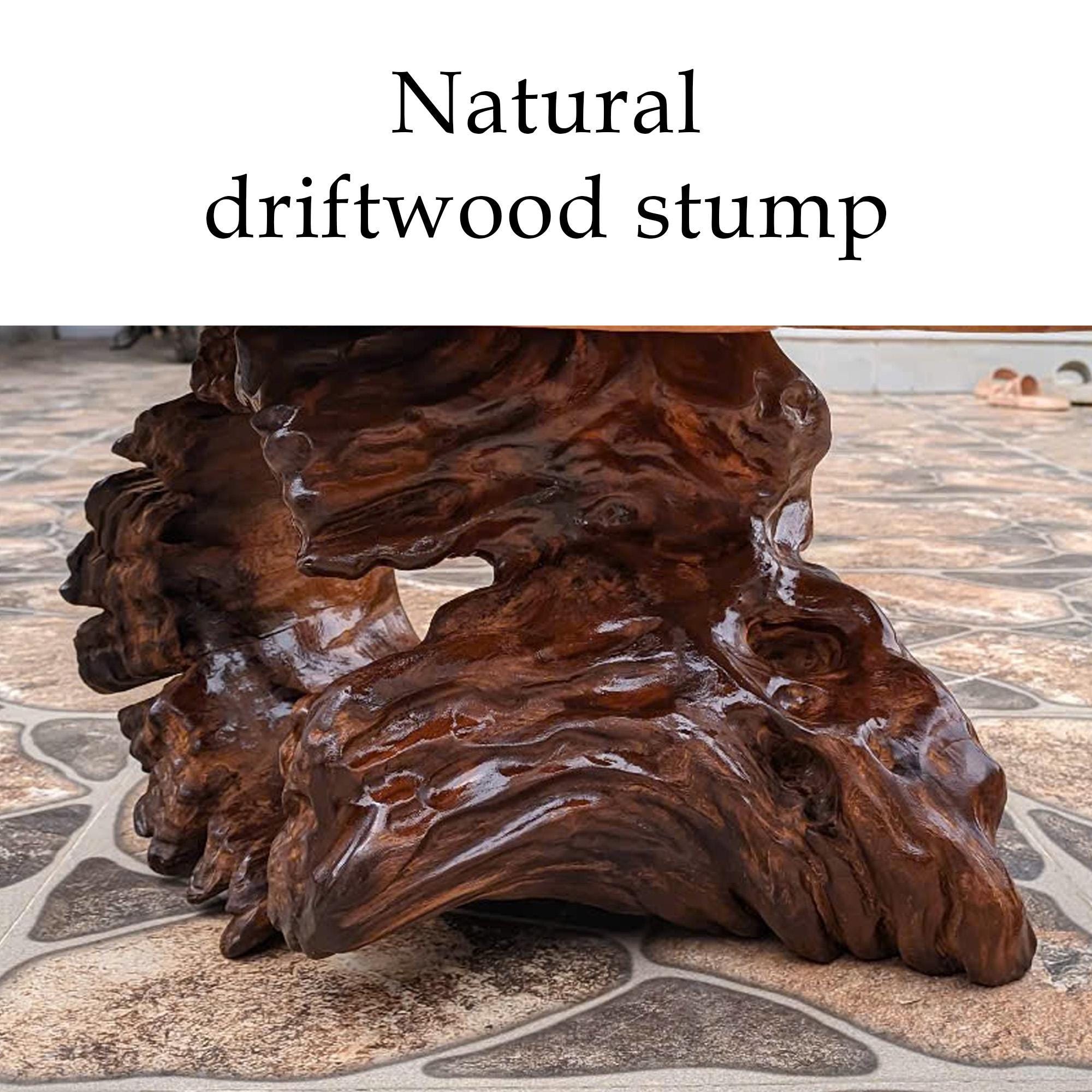Natural Solid Wood Coffee Table Tree Trunk Burl Wood Side Table Live ...