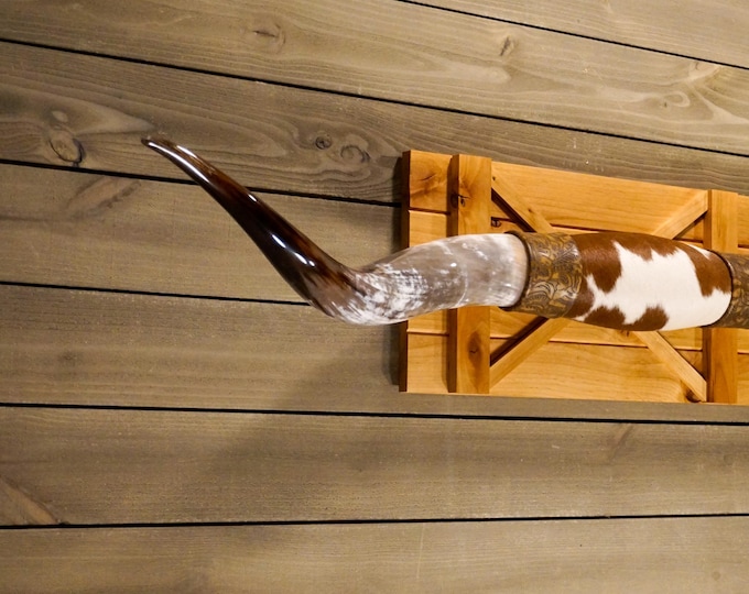 Longhorn Wall Mount 5' 2" Polished Authentic Steer Horns Bull Horns ...