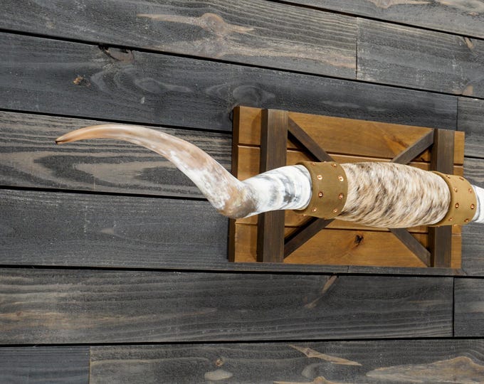 Authentic Longhorn Wall Mount 5' 9" - Polished Steer Horns - Mounted ...