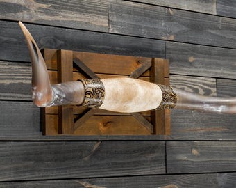 Longhorn Wall Mount 5' 2" Polished Authentic Steer Horns Bull Horns ...