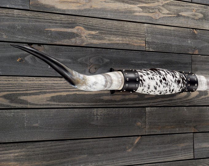 Authentic Longhorn Steer Horns Mounted 5' 4" Wide - Western Decor ...